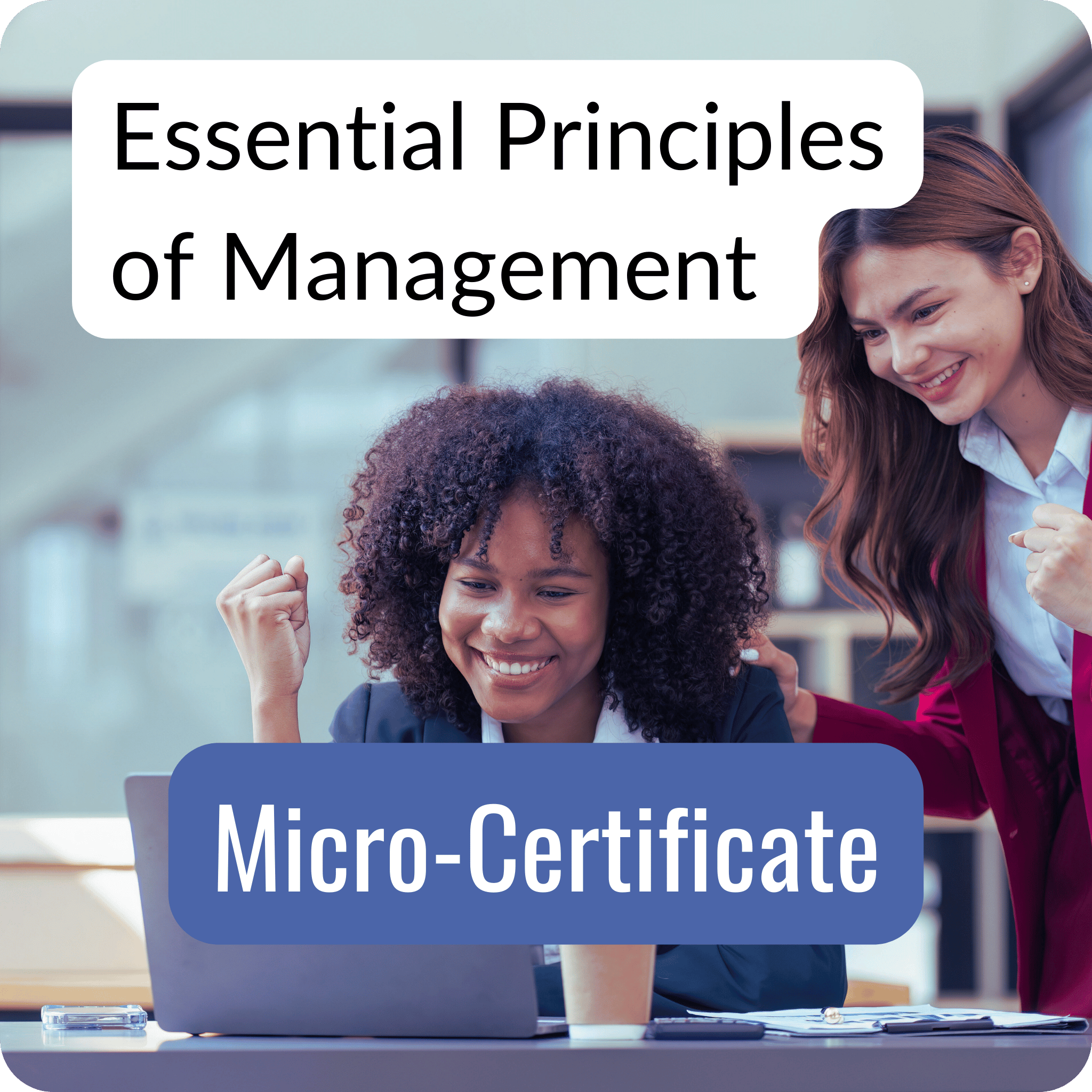 Essential Principles of Management Micro-Certificate – The Professional ...