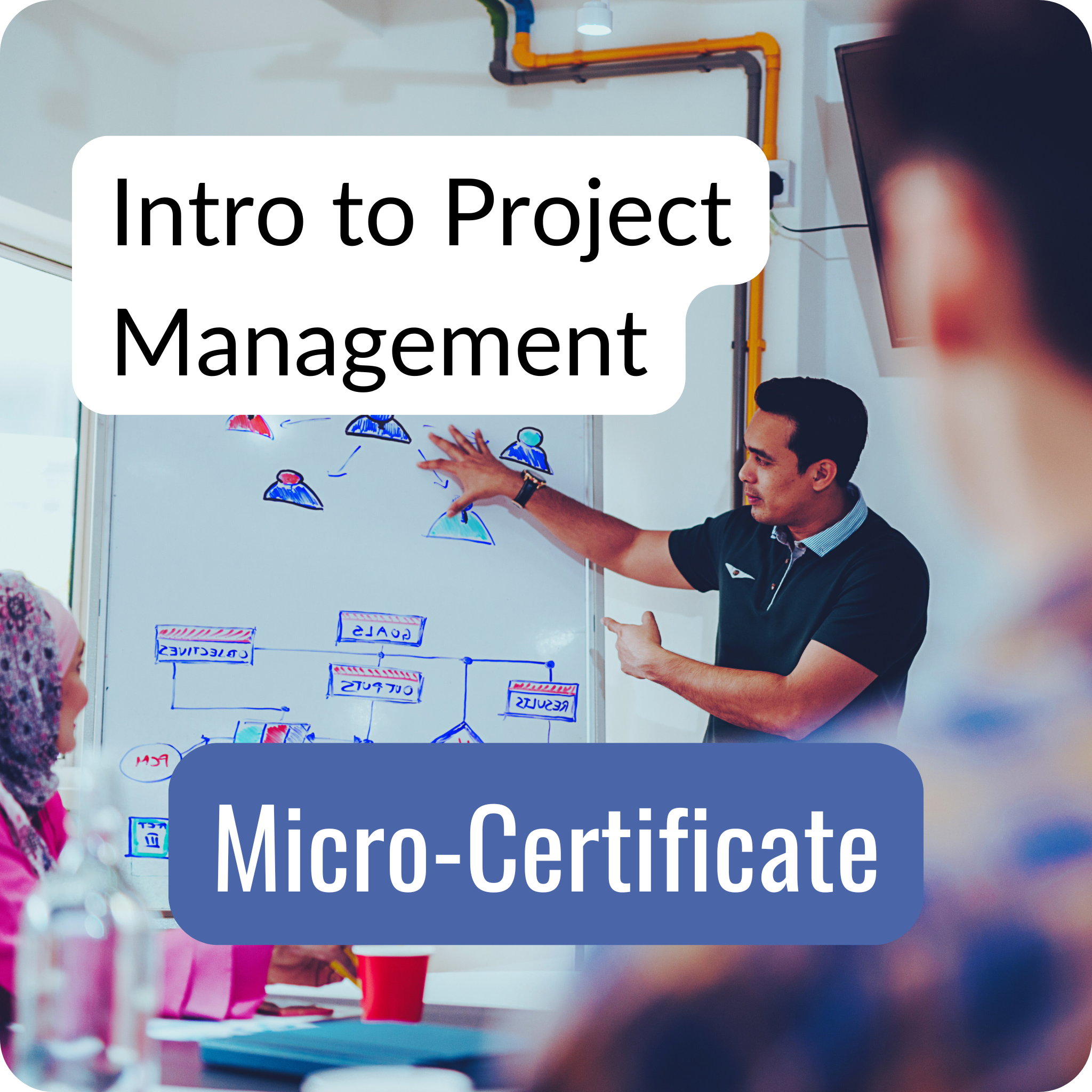 Intro to Project Management Micro-Certificate – The Professional ...